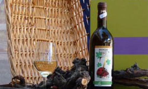 DOMAINE CAZALIS | VIC-LA-GARDIOLE